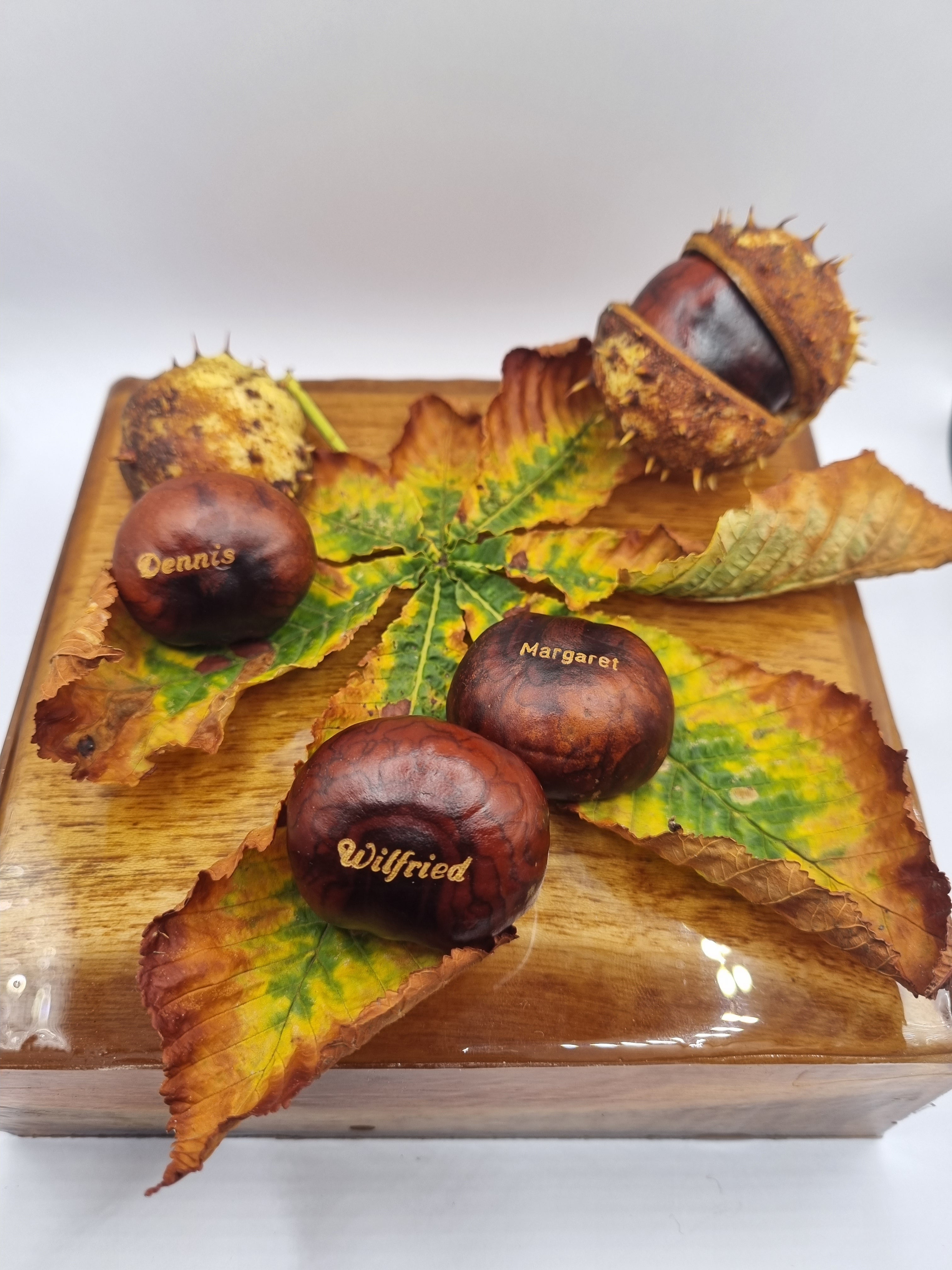 Platzkarte, Namensschild, Tischkarte, Tischdeko, Herbst, Kastanien ind – robinien-moebel.de